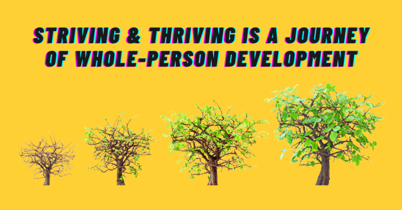 Striving to Thriving: Get to the next level in your career ...