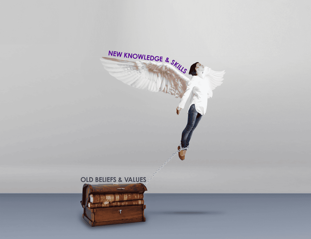 NLP Master Practitioner Course - 2024 Release - Mind Transformations