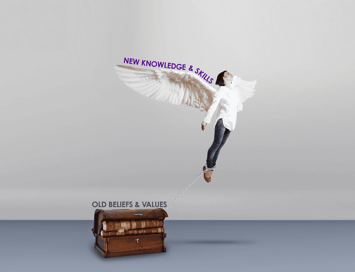 NLP Master Practitioner Course - 2024 Release - Mind Transformations