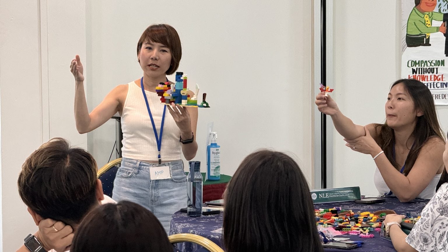 Reflecting on the NLE Training - Mind Transformations